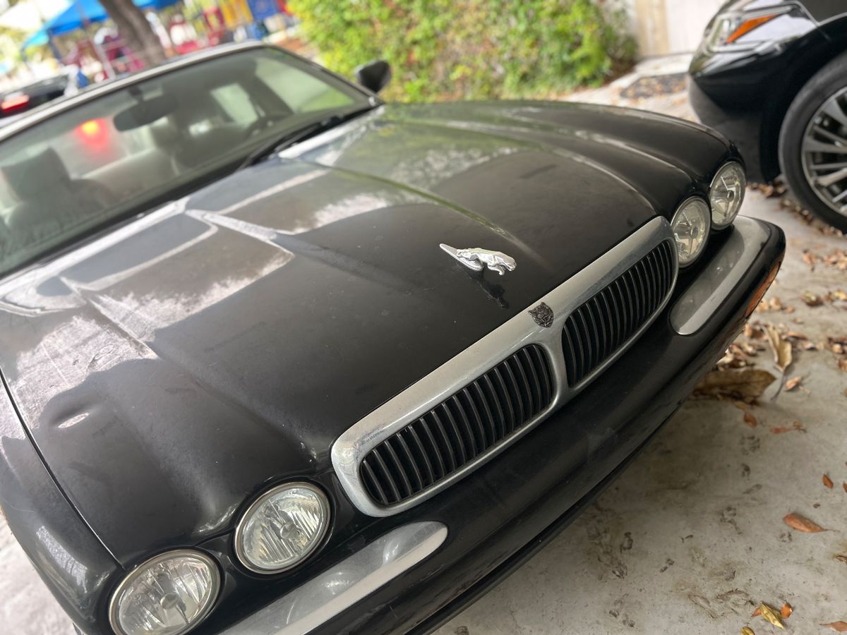 Fashionista and entertainment extravaganza... starts on 4/17/2025