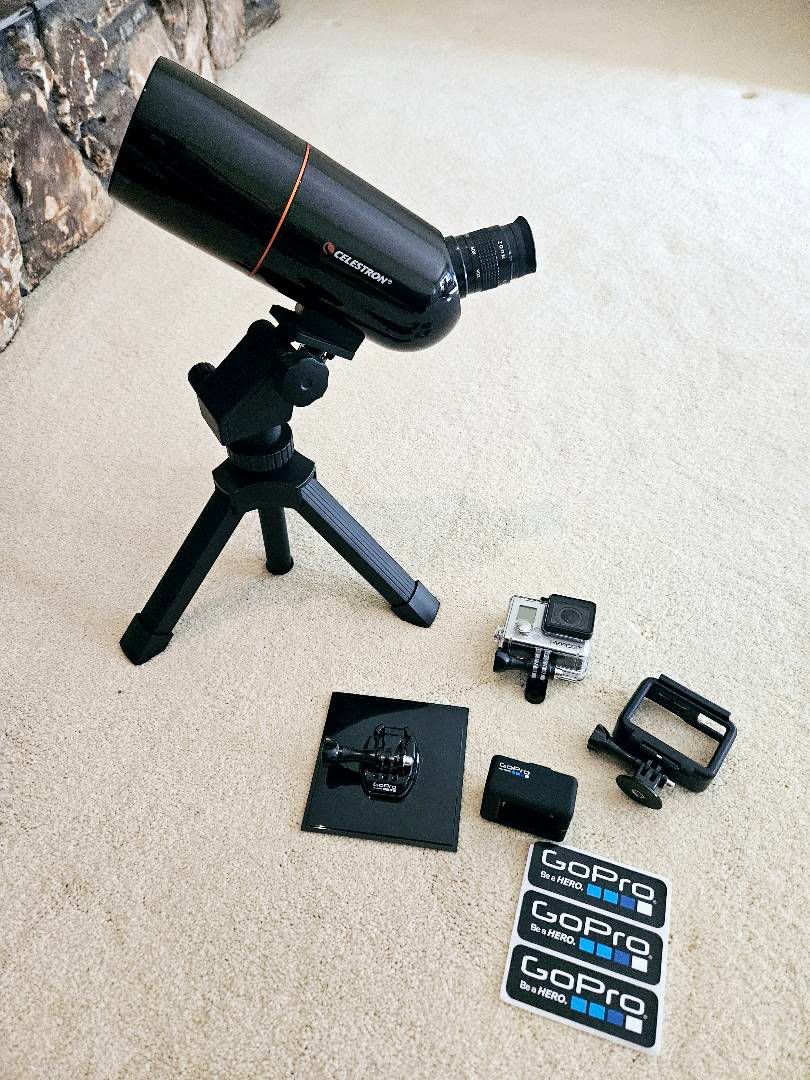 From Stadium Days to Surf Breaks – Treasures... starts on 4/7/2025