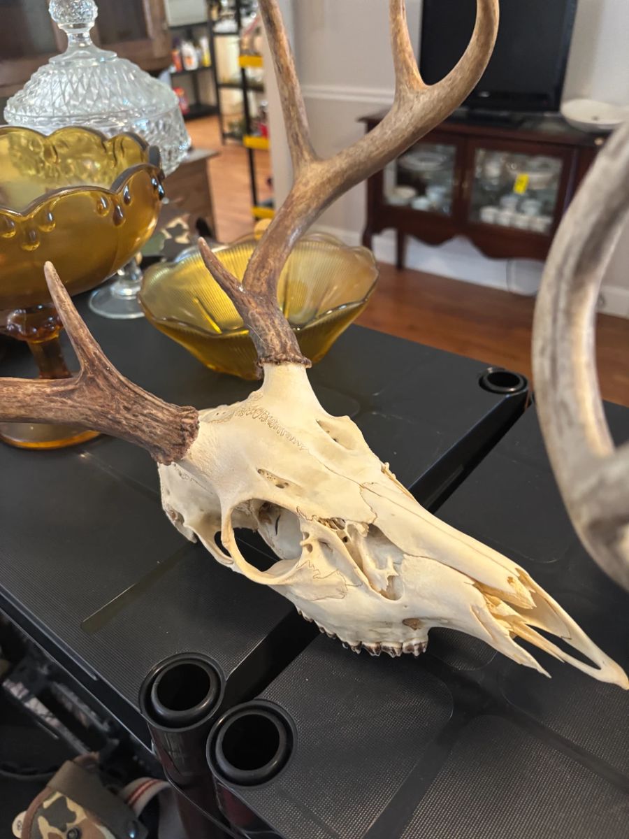 LULA Has it all. Wonderful country home starts on 5/15/2025