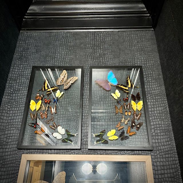 Posh Peacock is in Celebration - amazing... starts on 4/18/2025