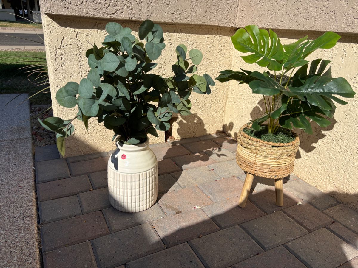 Princess Patti estate sale in Sun City West, AZ starts on 4/16/2025