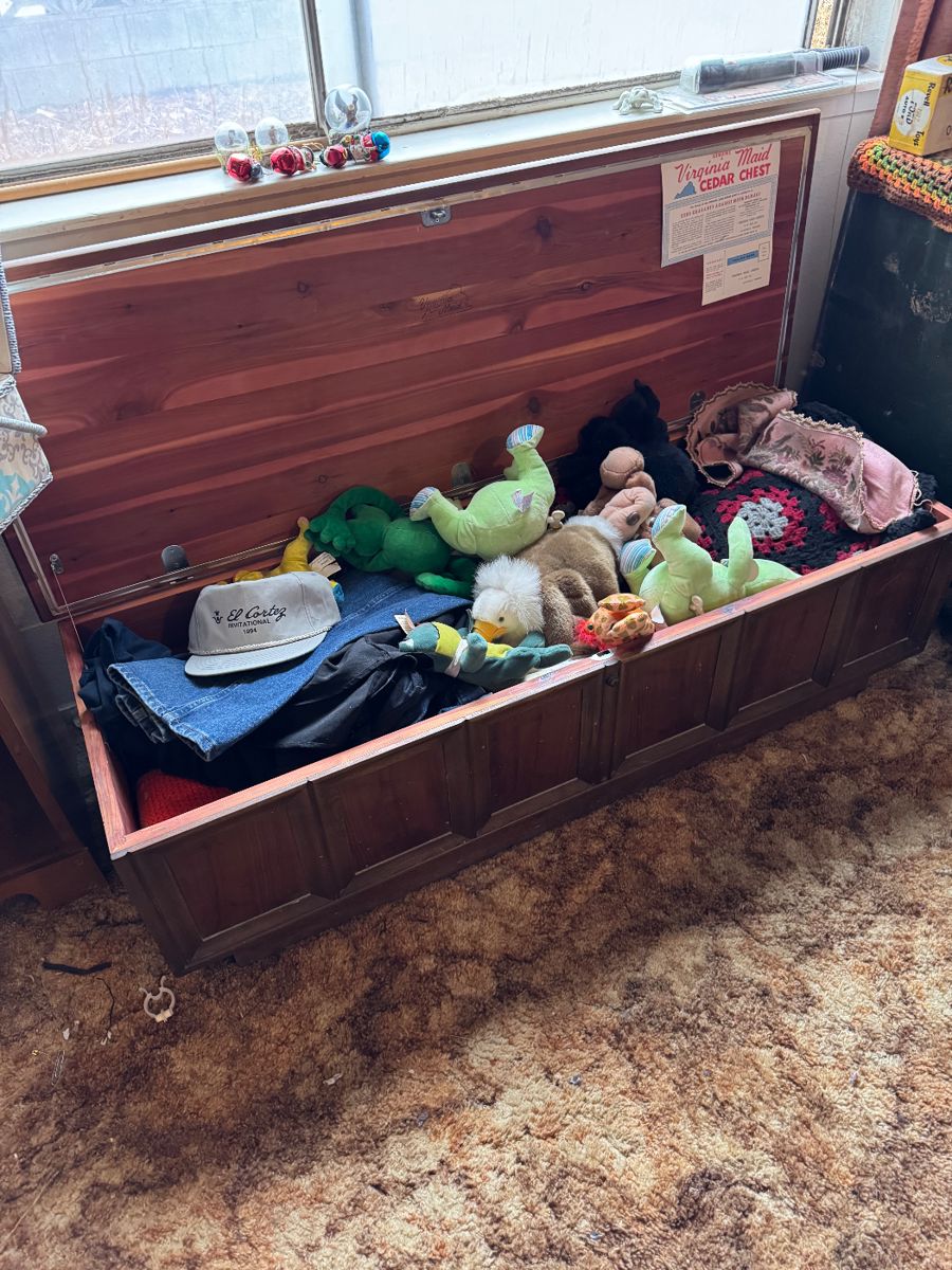 Vintage Curio Shop Adult Only Estate Sale starts on 5/15/2025