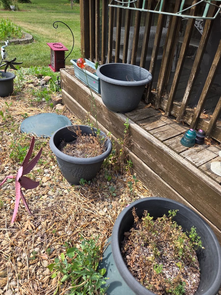 Packed Crown Point Estate Sale starts on 7/11/2025