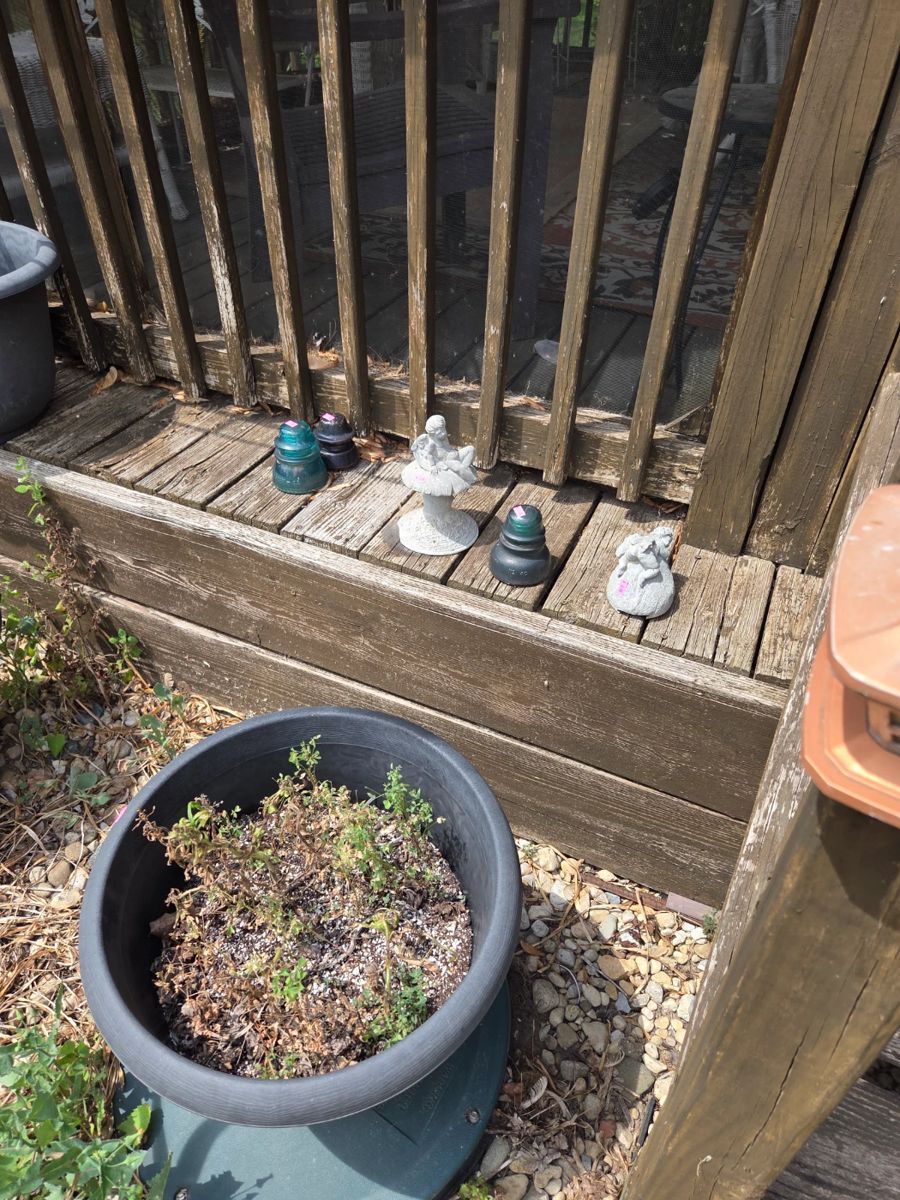 Packed Crown Point Estate Sale starts on 7/11/2025