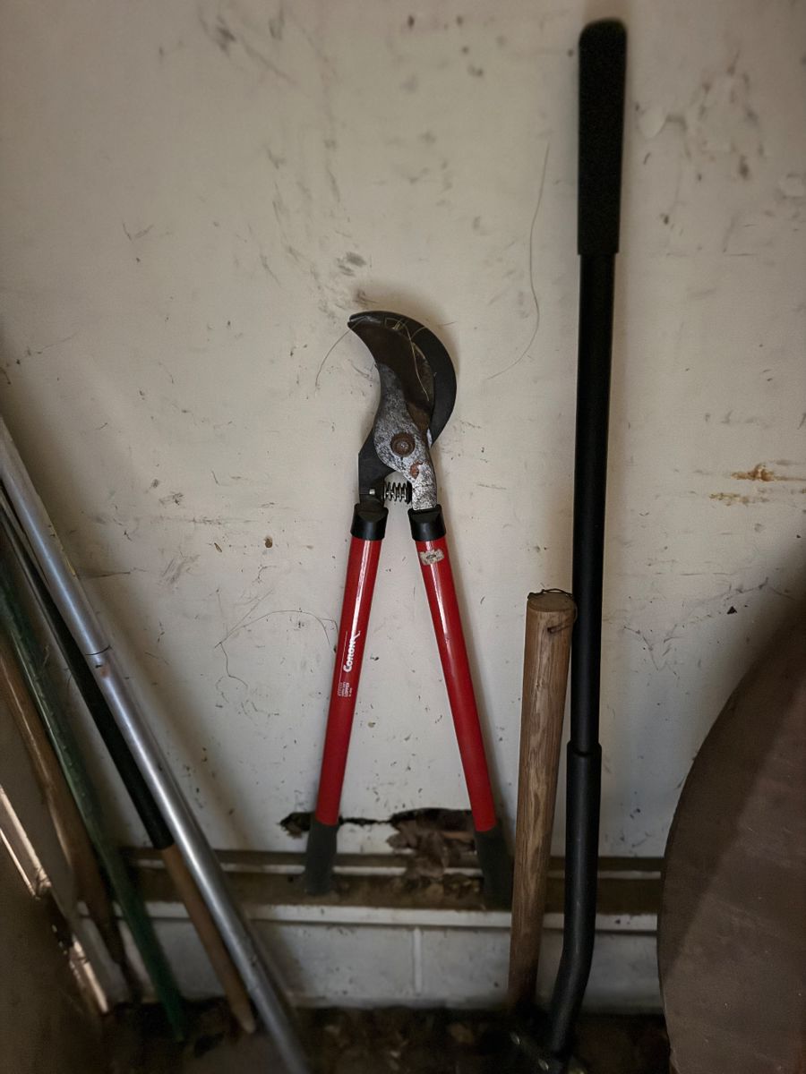 Joy Rd - Dexter starts on 5/30/2025