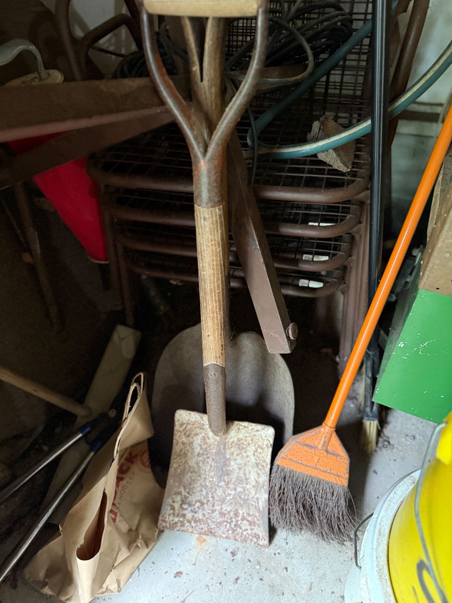 Joy Rd - Dexter starts on 5/30/2025