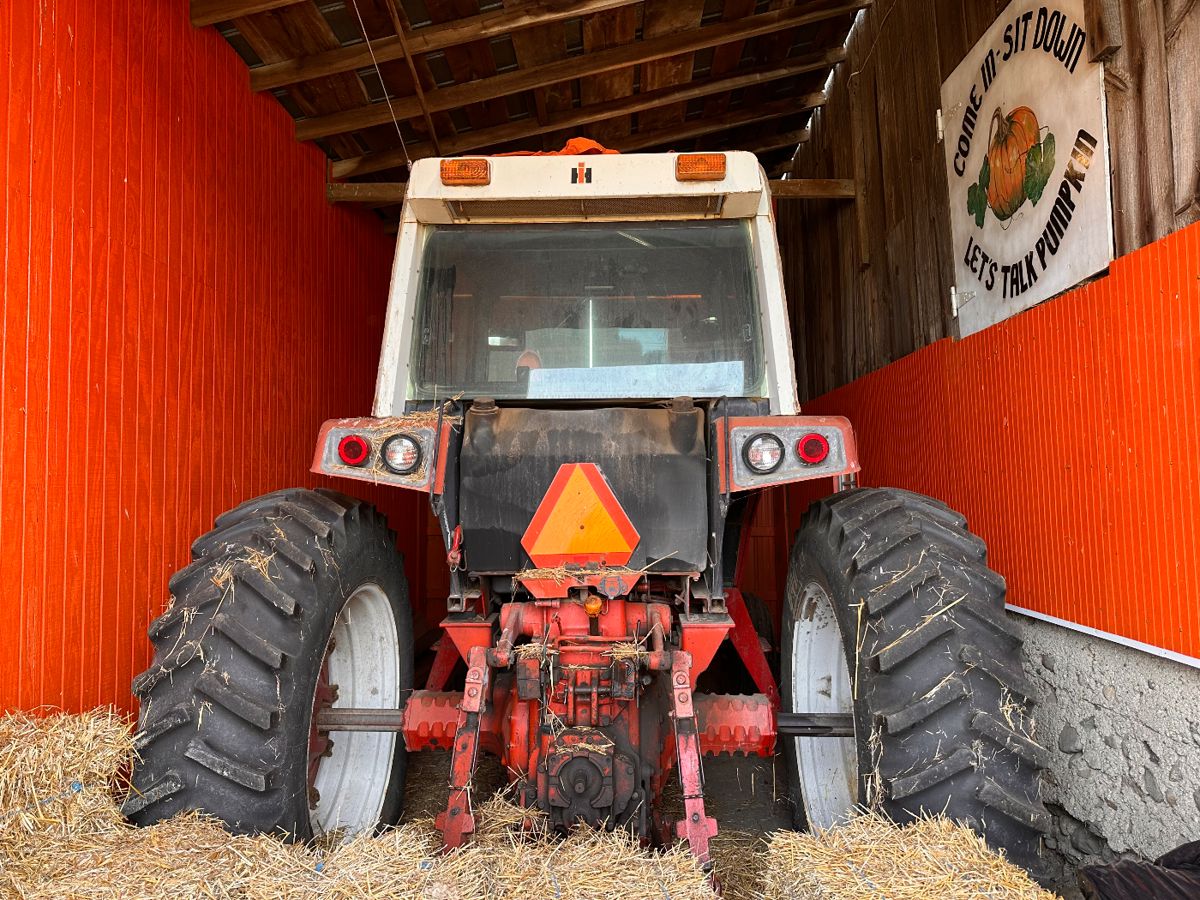 50% OFF! LAST DAY- June 7th- Barns are OPEN!... starts on 6/4/2025