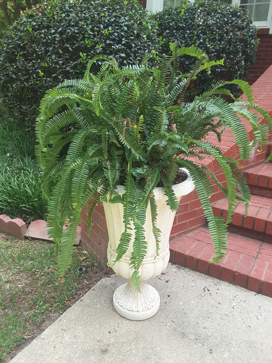 Moving sale of James R ( Jim) Rigsby starts on 6/6/2025