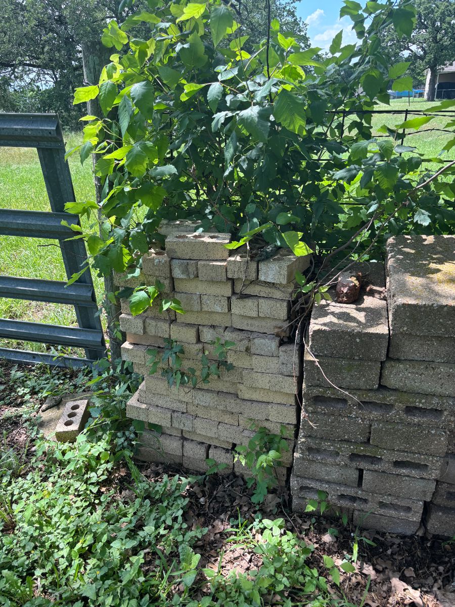 Giant Estate Sale in Axtell, TX starts on 6/6/2025