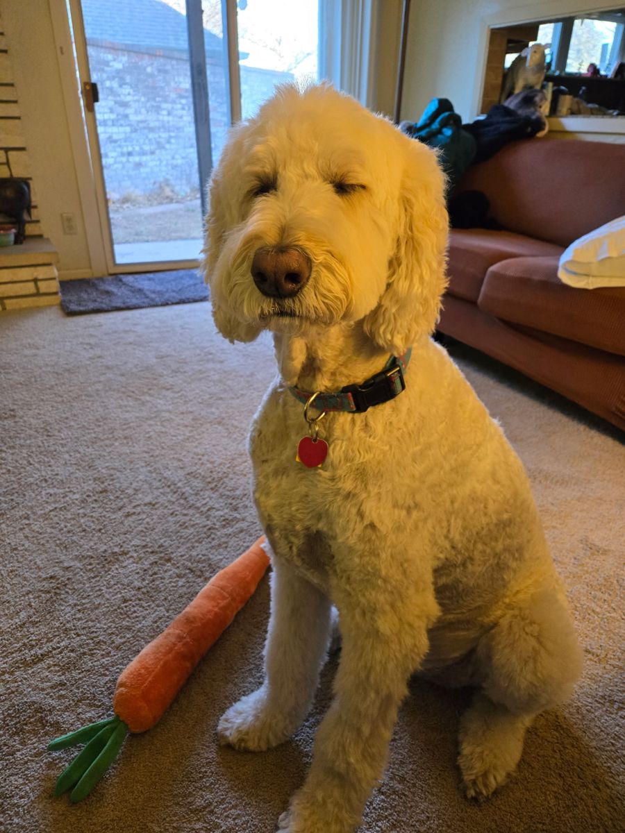 S.G Sales and Rosemary in Vickridge starts on 6/5/2025