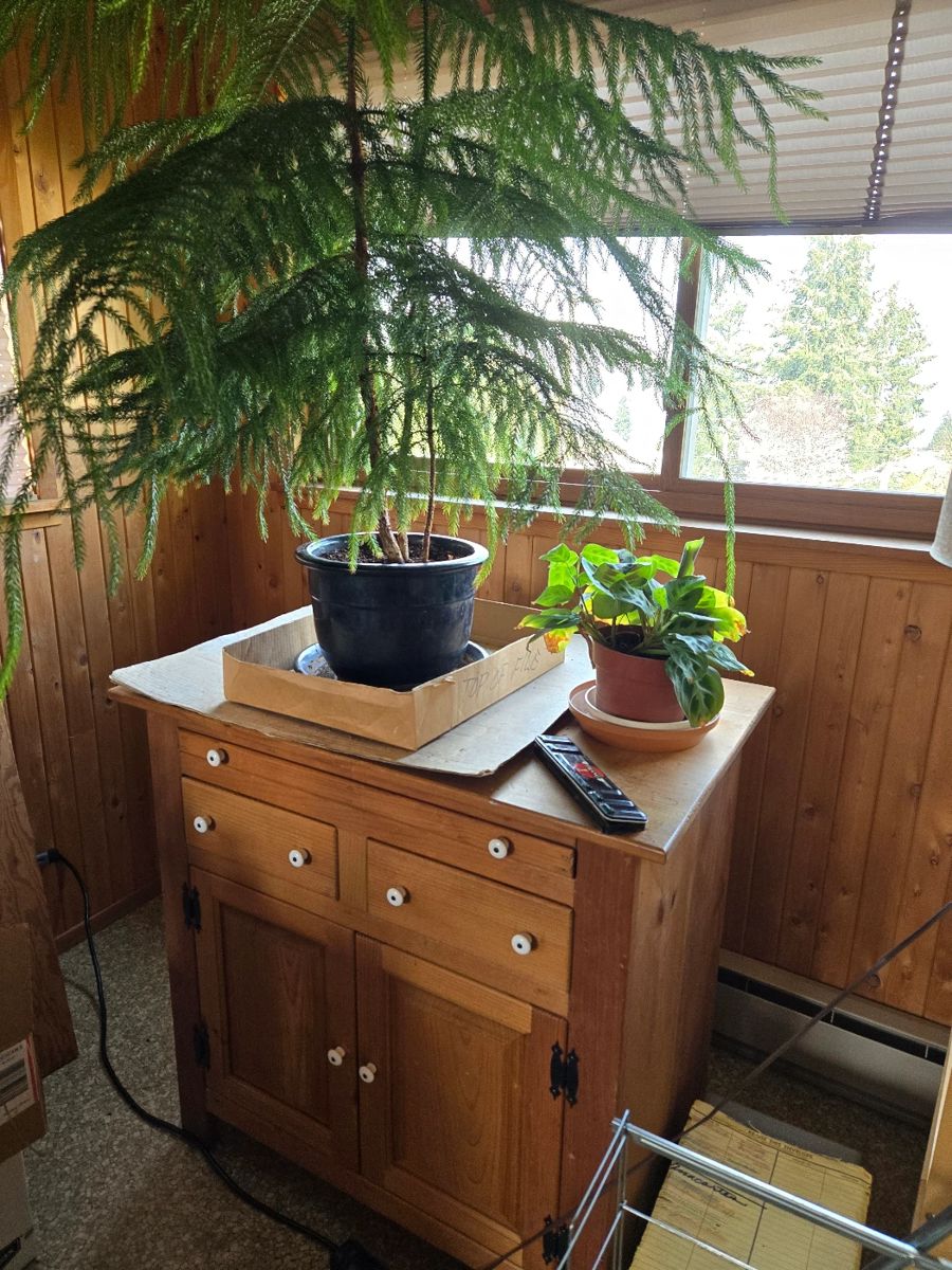 Artists Retreat in Federal Way starts on 6/7/2025