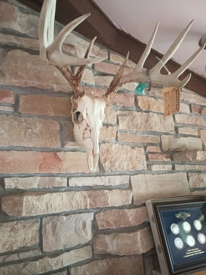 Estate Sale for Mr. Roger Bucky & Edna Wagner starts on 6/14/2025