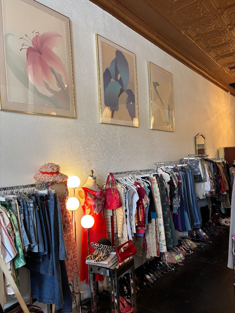 Ditto Boutique Vintage Liquidation SALE Starts... starts on 6/6/2025