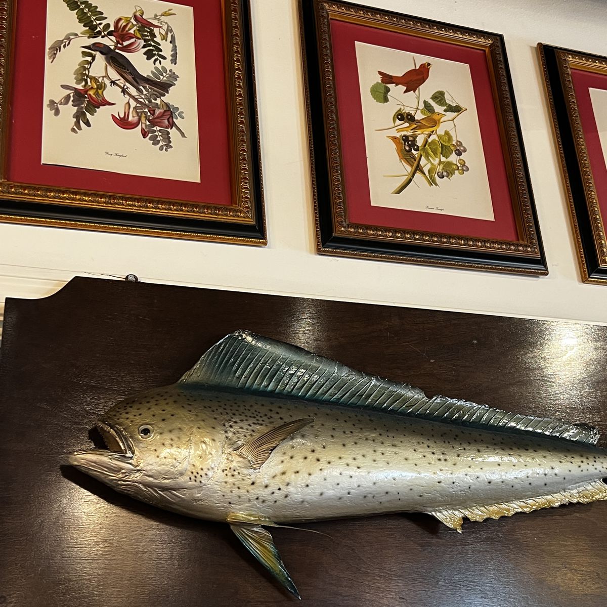 NEW INVENTORY!! Ortega Trading Co. Showroom... starts on 6/14/2025