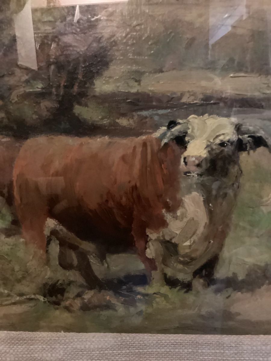 Fabulous Georgetown Estate starts on 6/19/2025