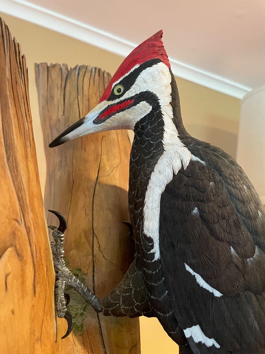 ESTATE SALE Menands (Albany) starts on 7/11/2025