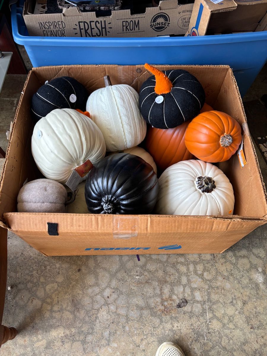 Goodenow warehouse estate sale in Beecher, IL starts on 7/4/2025