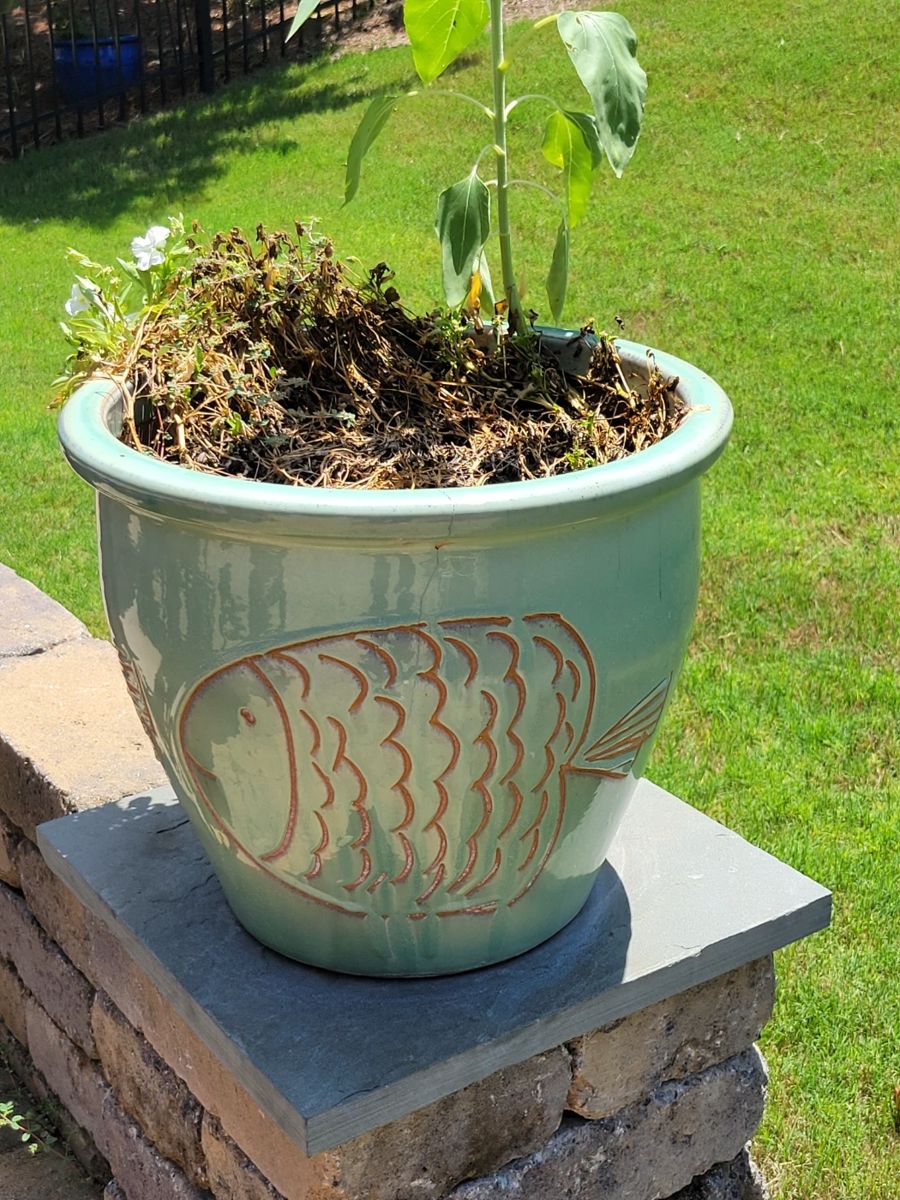 *Blue Moon Sale With a Variety of Nice Items * starts on 7/18/2025