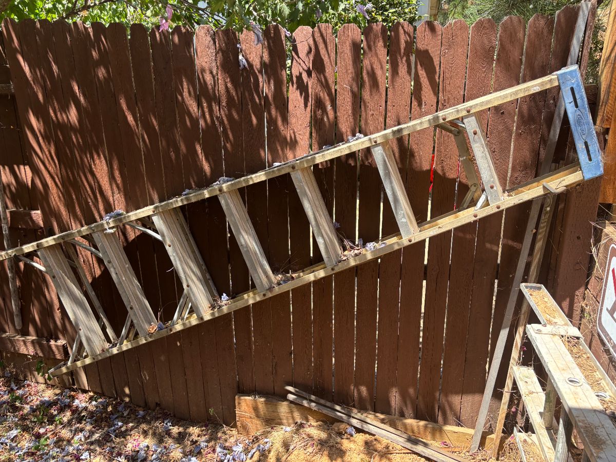 An Estate Sale Shoppers Dream - Something... starts on 7/18/2025