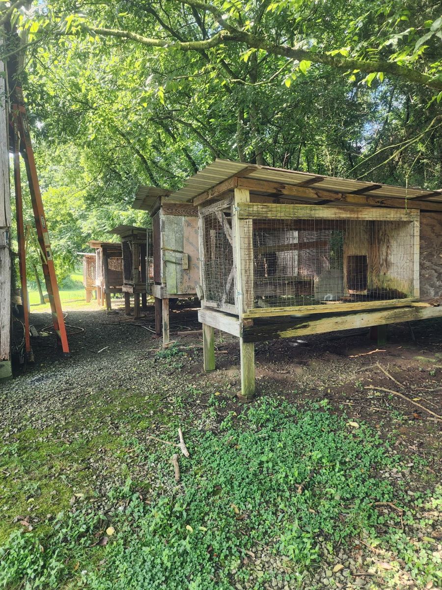 Estate sale for late Terry Reece of Gainesboro TN. starts on 7/24/2025