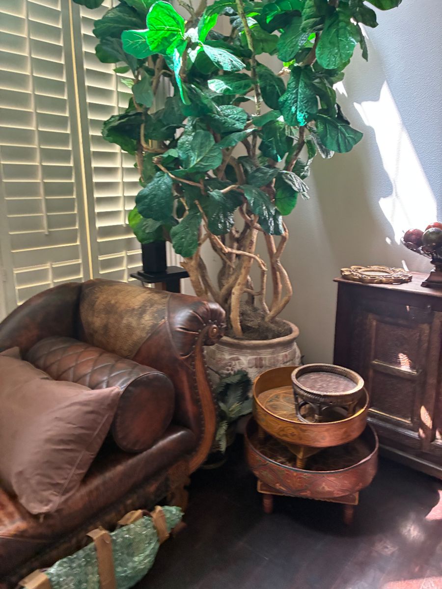 50% off Sunday Buffalo Creek Curated Collection starts on 7/25/2025