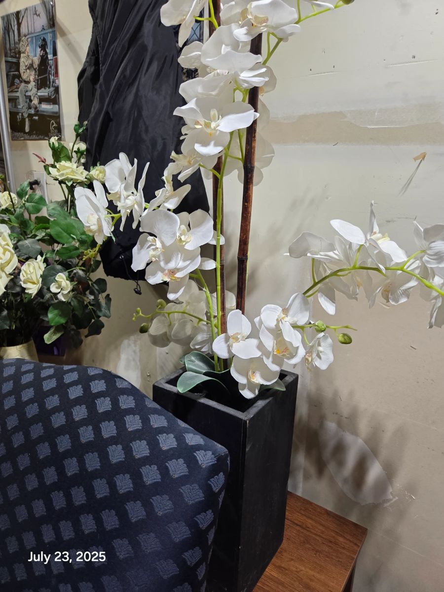 One Day Only Blowout Crown Point Estate Sale starts on 8/1/2025