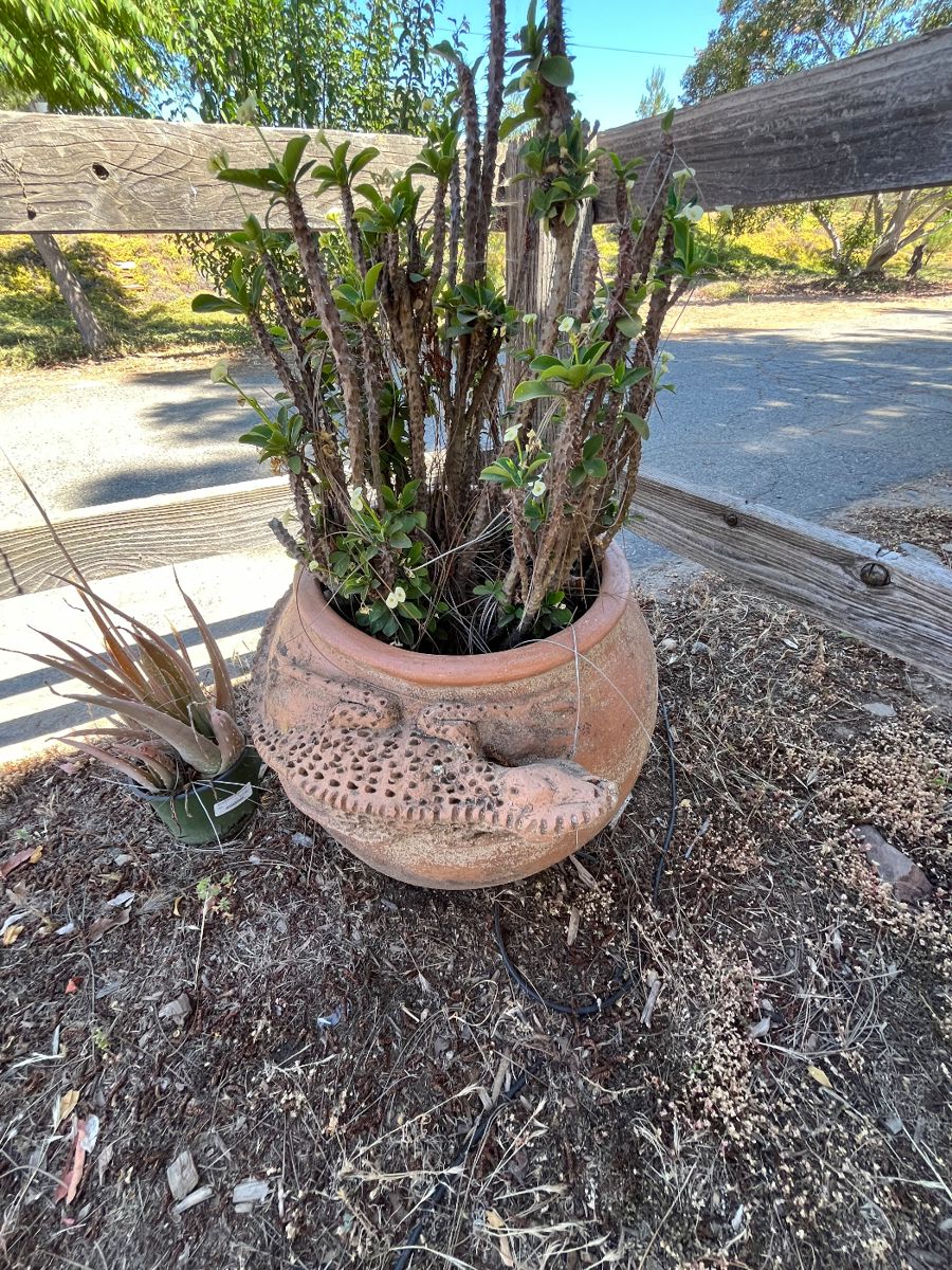 Ramona Ranch Estate Liquidation starts on 7/26/2025