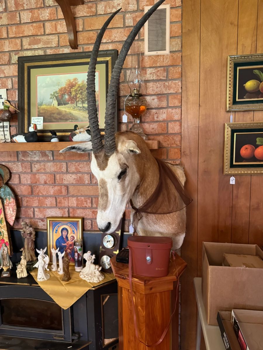 Edwin & Florence Jacob Estate Sale in Yorktown, TX starts on 8/2/2025