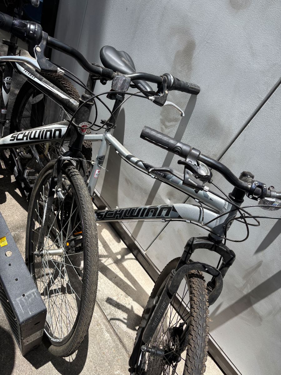 Cibolo Moving Sale starts on 7/31/2025