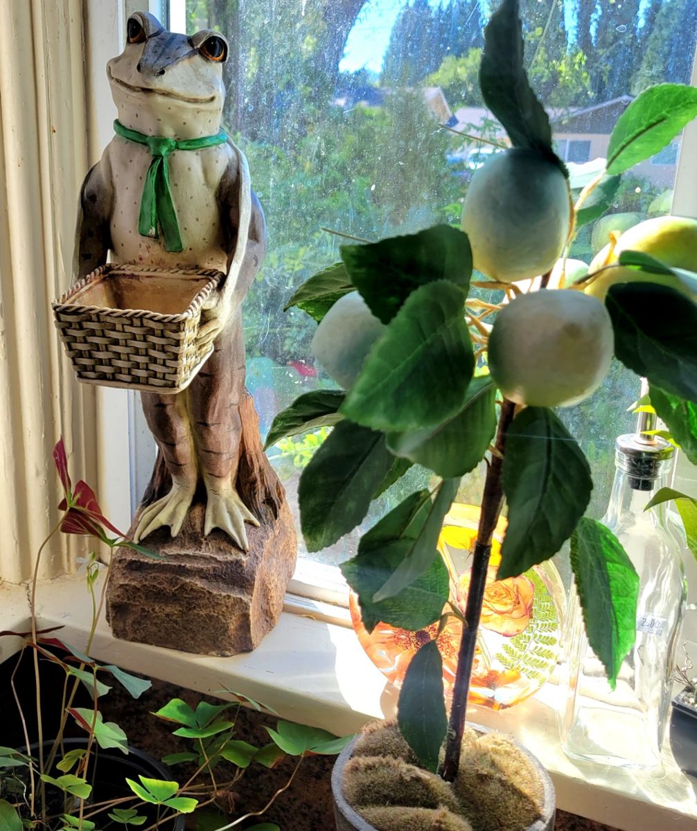 Longview Estate Sale starts on 8/14/2025