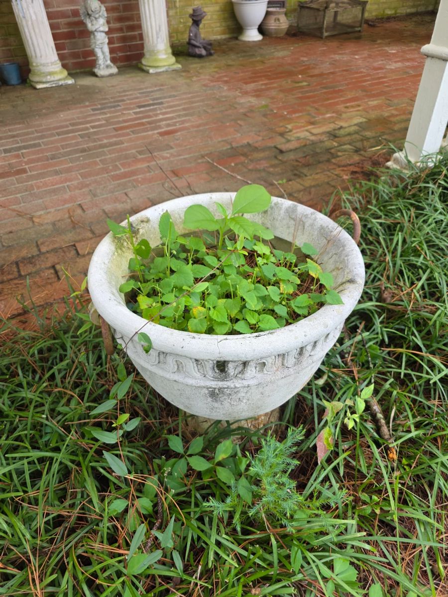 Wonderful tarboro estate sale in Tarboro, NC starts on 8/16/2025
