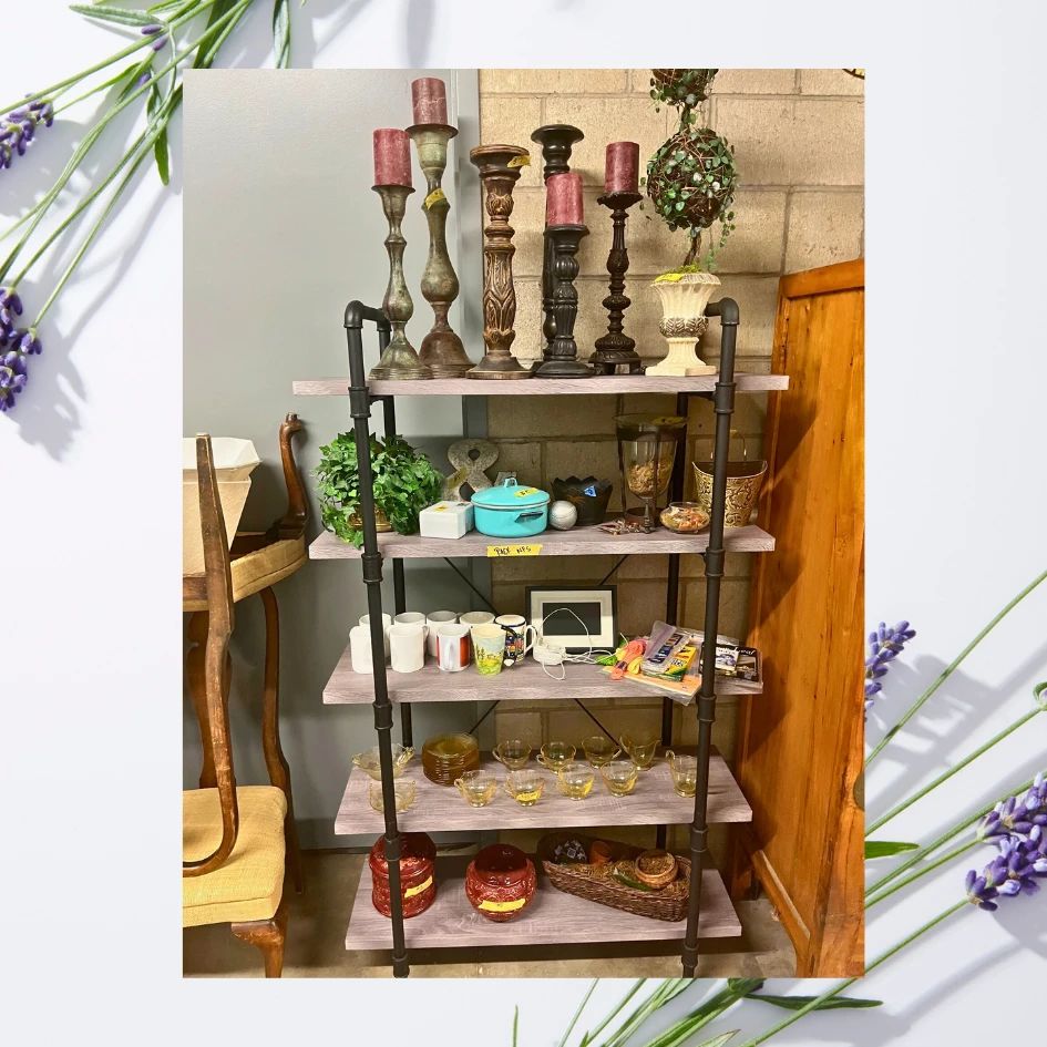 WAREHOUSE ESTATE SALE – 50% OFF EVERYTHING! starts on 8/15/2025