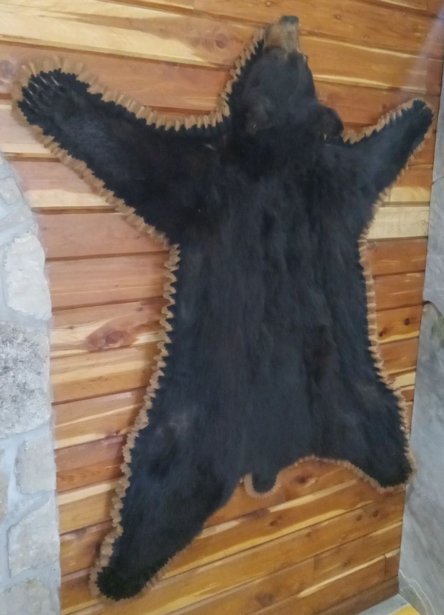 Boat-Zero Turn-Trailer-4 wheeler-Taxidermy-Vehicle... starts on 9/13/2025