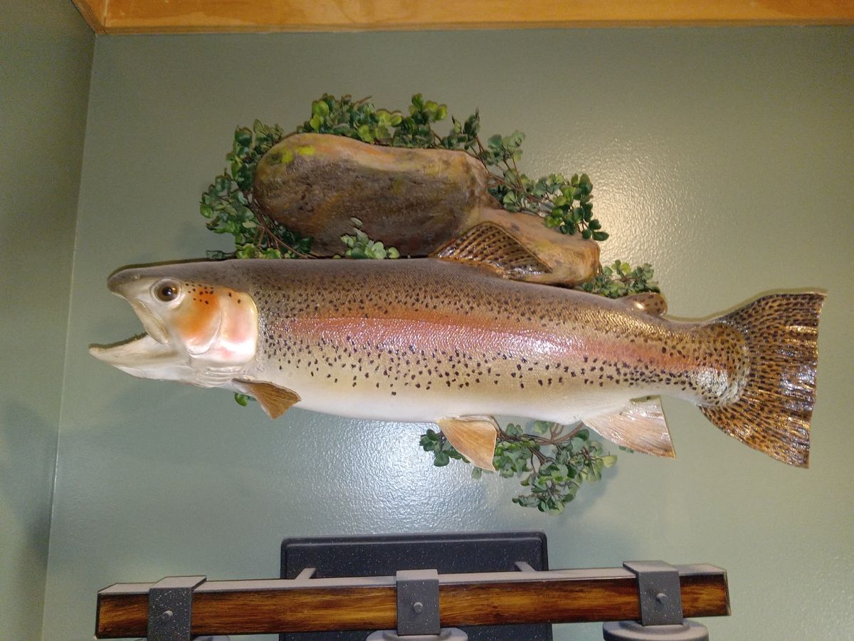 Boat-Zero Turn-Trailer-4 wheeler-Taxidermy-Vehicle... starts on 9/13/2025