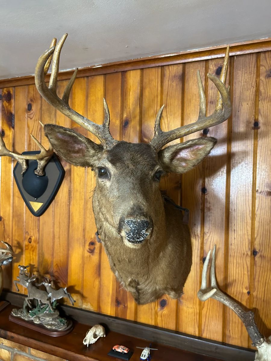 Pickers Gotta Pick Sale in Munith, MI starts on 9/13/2025