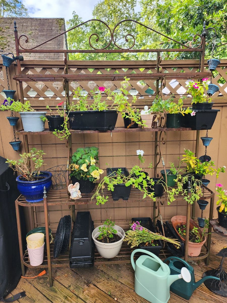 EVERYTHING MUST GO TODAY! 50%OFF in Kinnelon, NJ starts on 9/4/2025