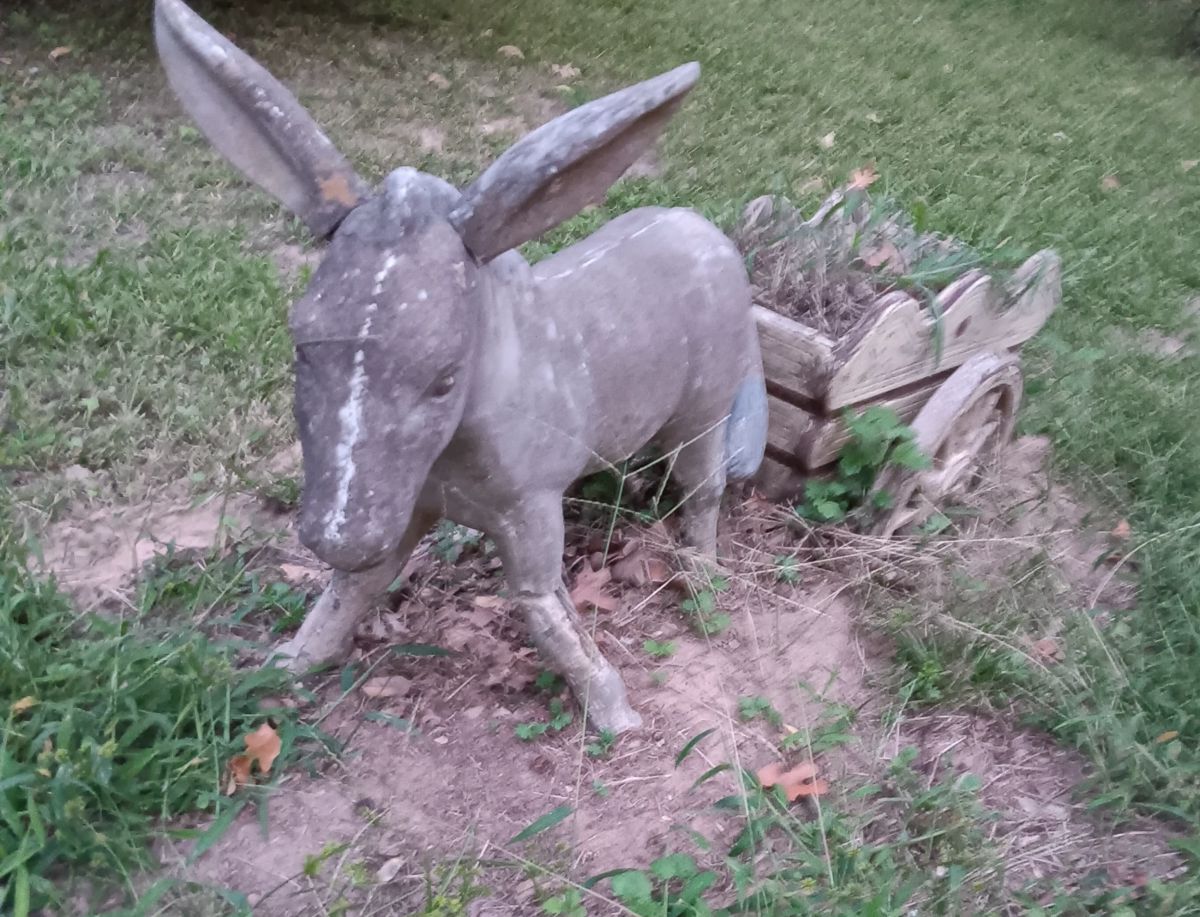 Come have some fun! 50% off most! in Cartwright, OK starts on 9/13/2025