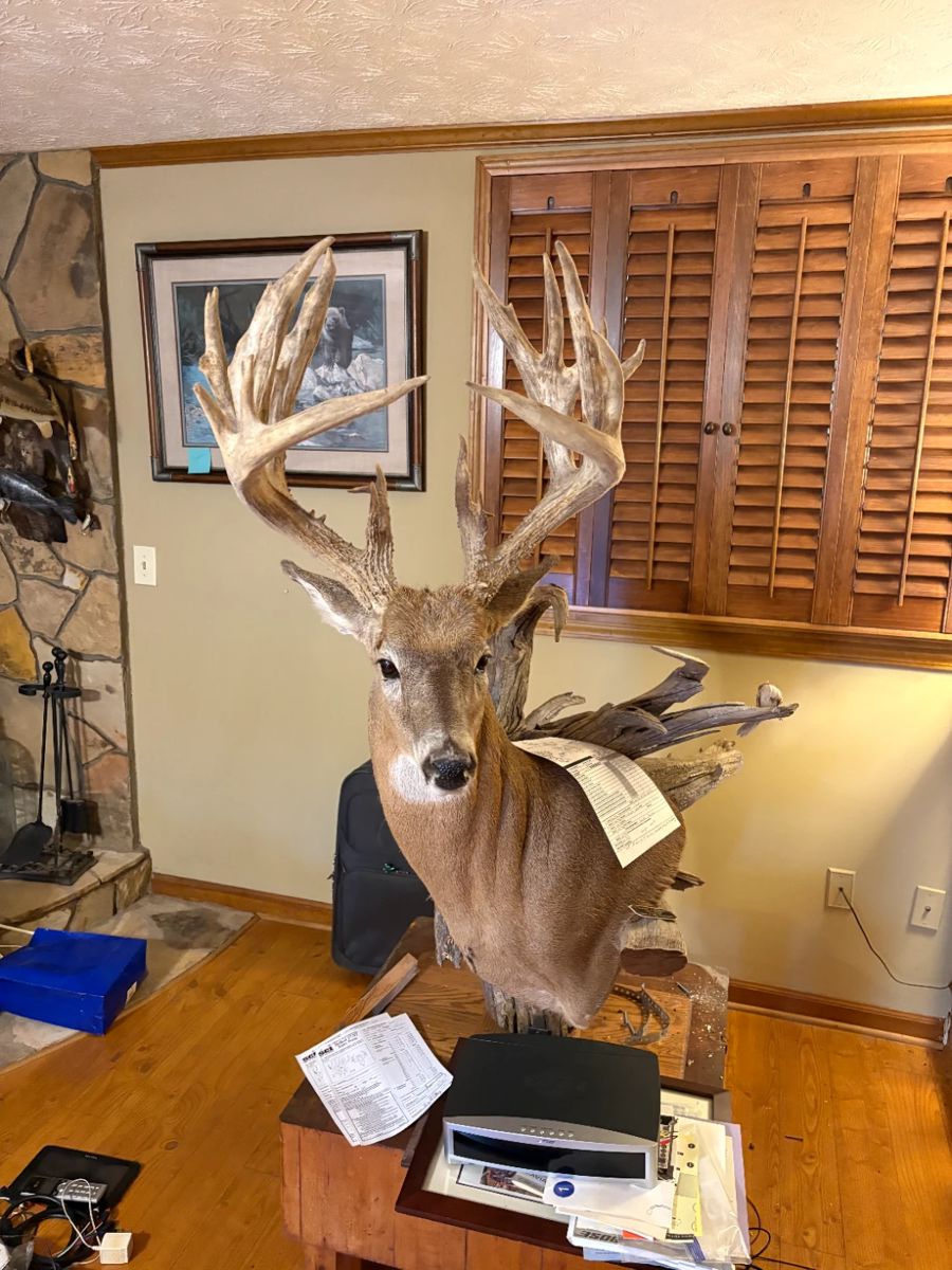The Ultimate Sportsman’s Estate Sale – Deer... starts on 9/25/2025