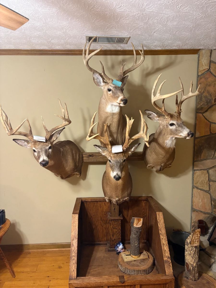The Ultimate Sportsman’s Estate Sale – Deer... starts on 9/25/2025