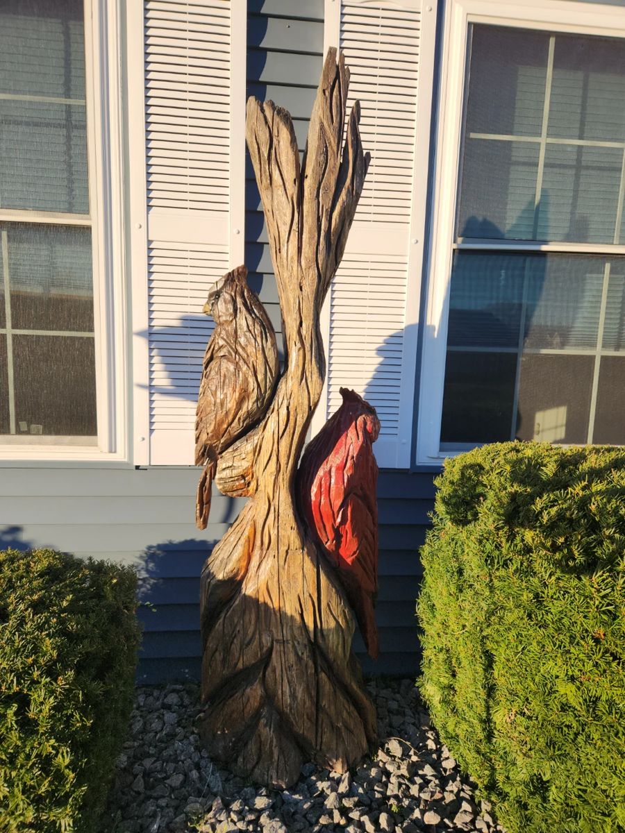 Caledonia Estate filled with Sports Memorabilia... starts on 11/13/2025