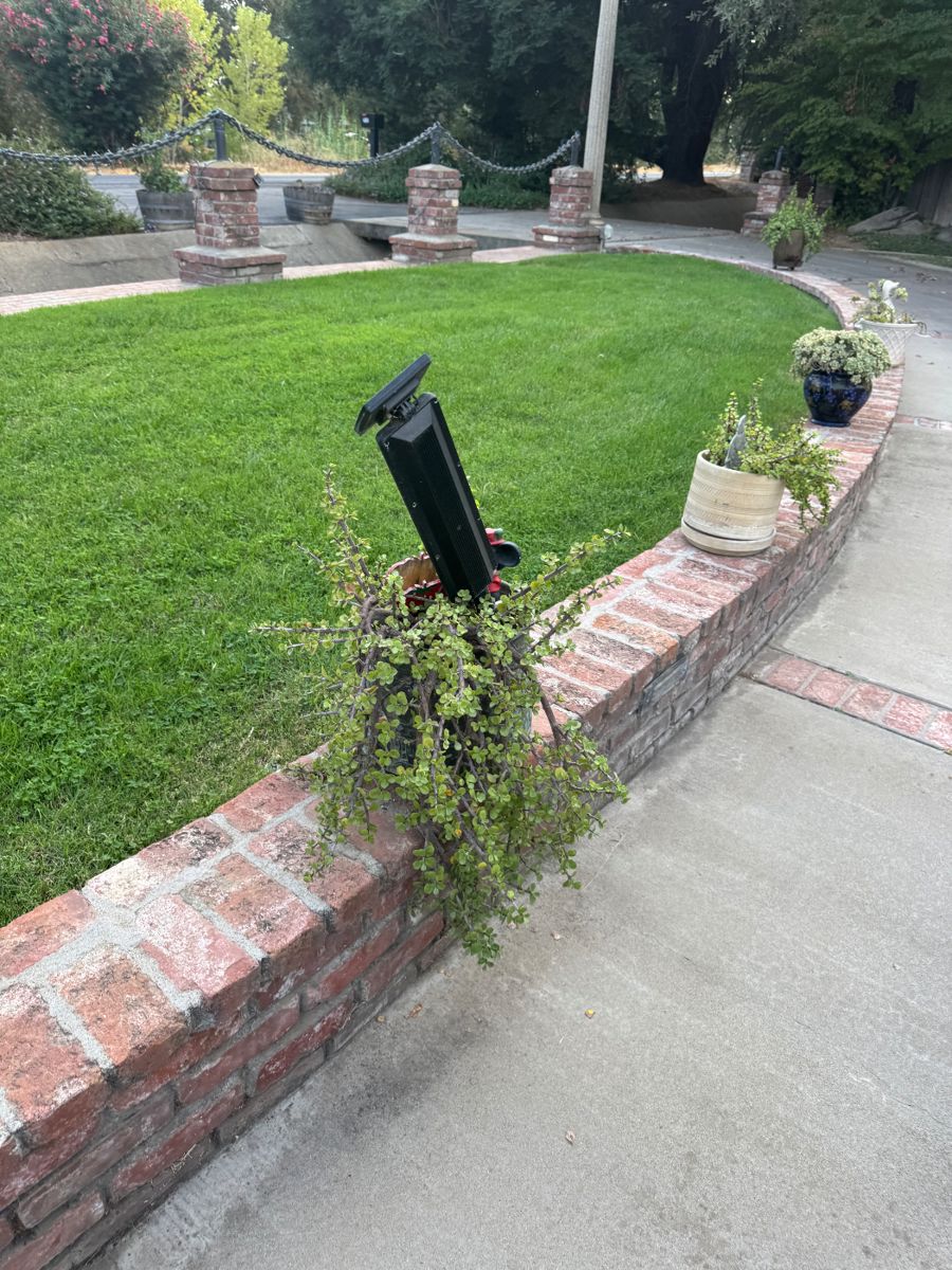 A fantastic Merced Estate Sale starts on 12/4/2025