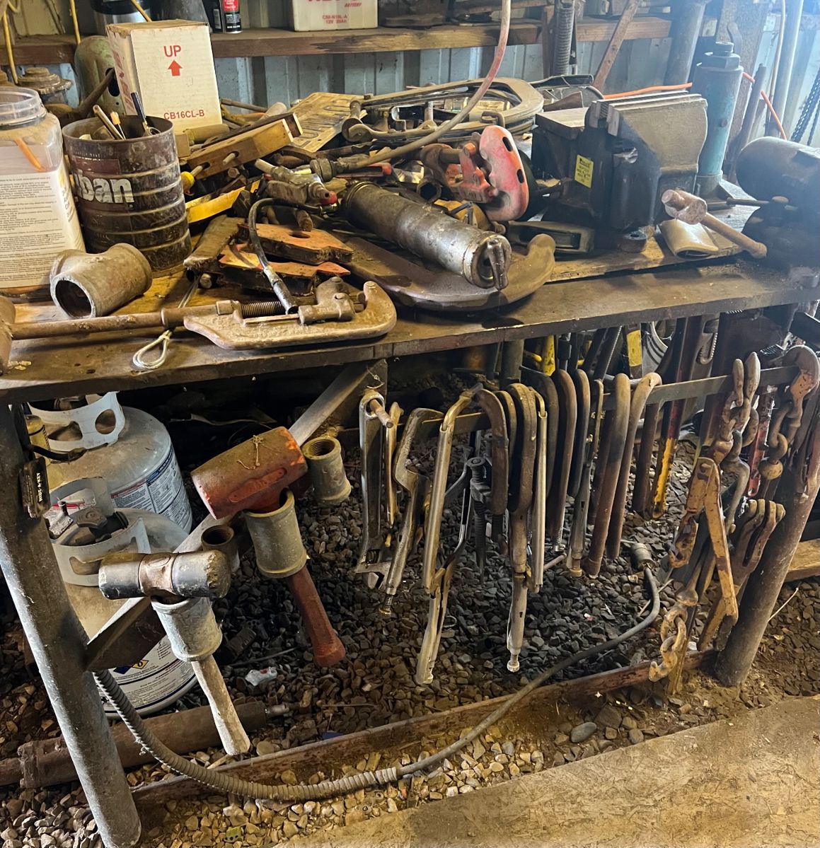 “Dig & Pick” Barn sale! Everything 50% off... starts on 10/17/2025