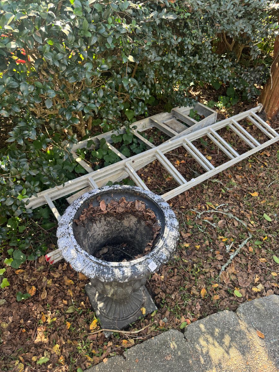 Covington Estate Sale starts on 11/15/2025