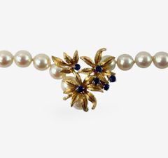Ararity Auctions Weekly Weird Treasure Sale starts on 11/10/2025