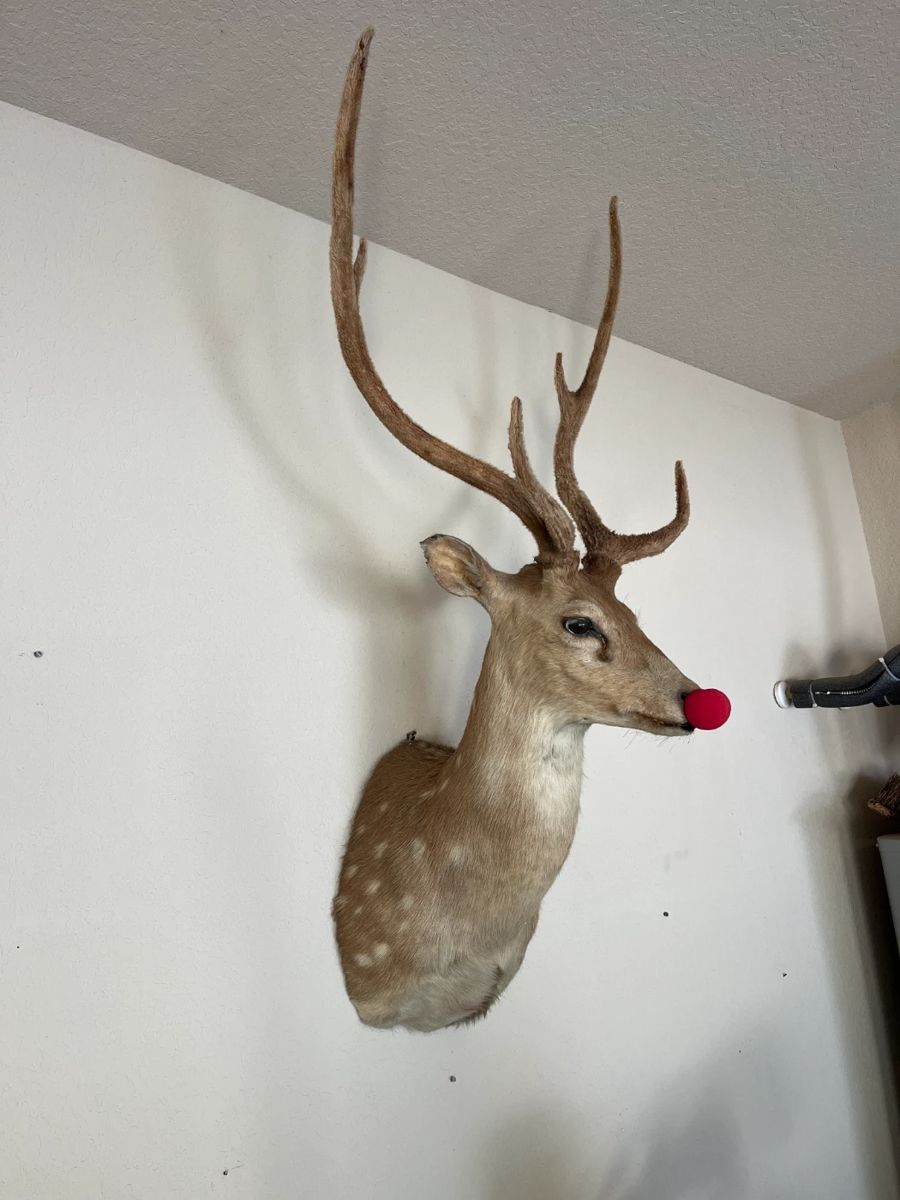 Willis Ranch Estate Sale- Furniture + More! starts on 11/15/2025