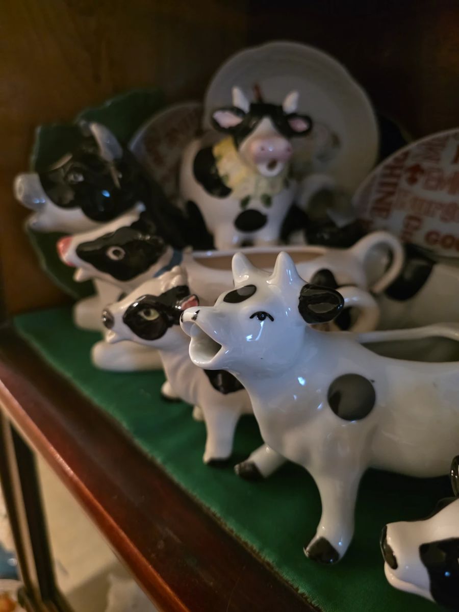 China Cat: Pickers Sale off San Pablo starts on 1/1/2026