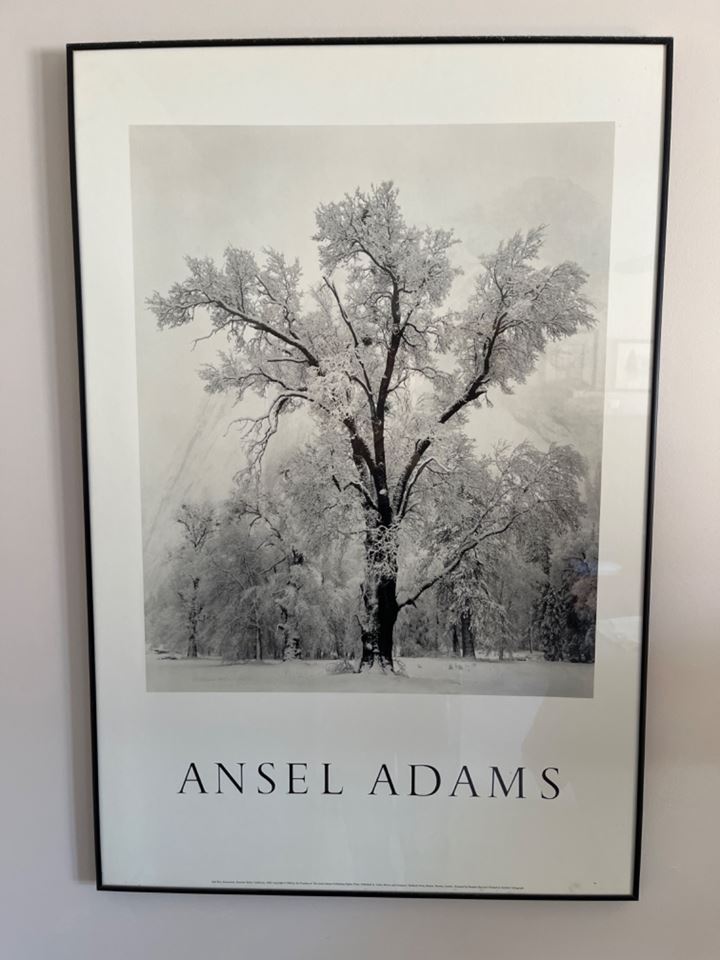 Ansel Adams “Oak Tree Snowstorm” Framed Poster bidding ends 4/21 $40.00 ...
