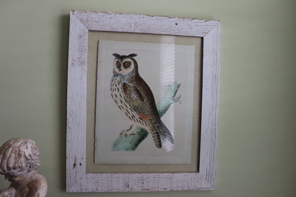 A Pair of Framed Owl Print 18 x 22 bidding ends 9/1 $36.00 ...
