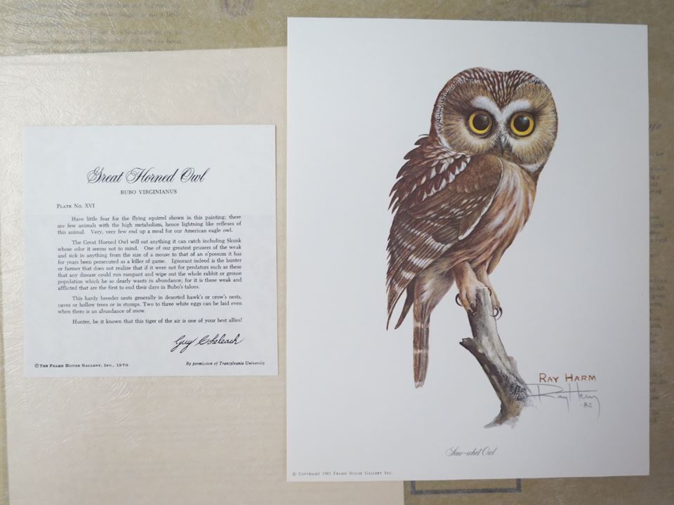 Ray Harm Limited Edition Hand Signed Print Horned Owl” bidding ends 6/ ...